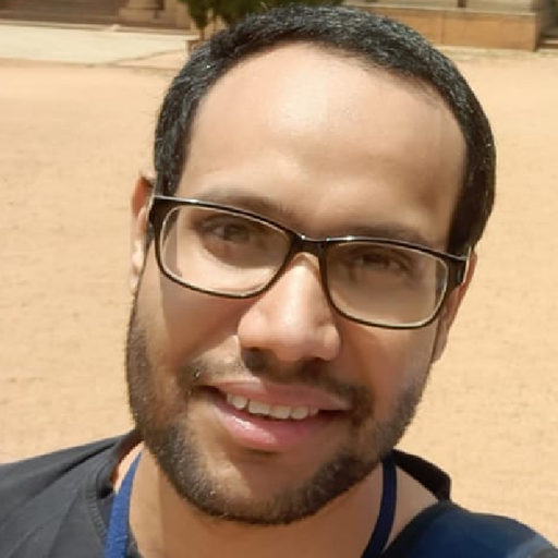 Md Imbesat Hassan Rizvi